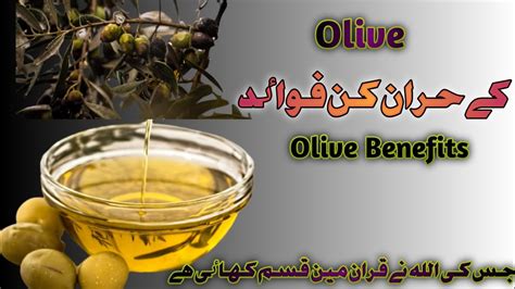 Zaitoon Ke Fayde L Benefits Of Olive L Olive Oil Benefits YouTube