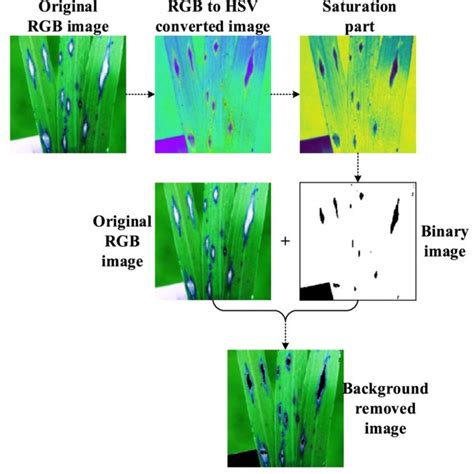 pdf recognition and classification of paddy leaf diseases using optimized deep neural network