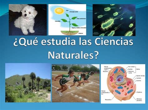 Explora Las Ciencias Naturales Comprende El Mundo Que Te Rodea