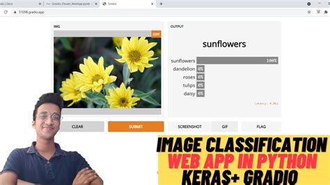 create an image classification web app using pytorch and streamlit by build applications vrogue