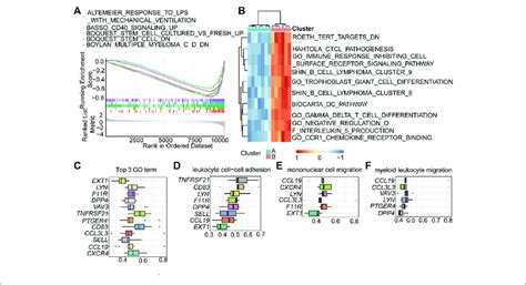 GSEA And GSVA Enrichment Analysis Of The Two Immune Related Clusters