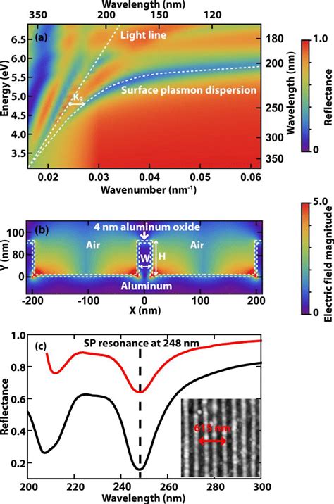 a full wave finite difference time domain simulation of the download scientific diagram