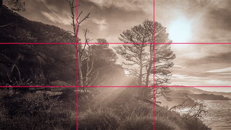 Rule Of Thirds Examples