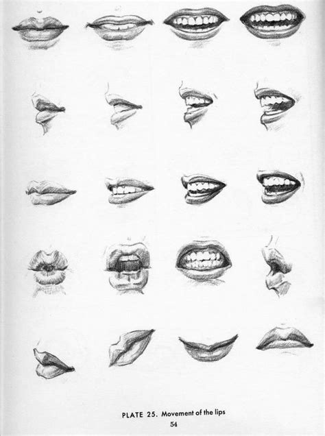 050 Anatomy References For Artists Drawings Drawing People Lips