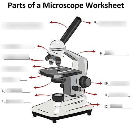 Biology Lab Midterm Exam Diagram Quizlet