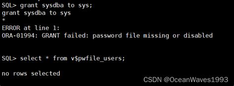 sql developer 连不上oracle数据库 报错 ORA 01031 insufficient privileges CSDN博客