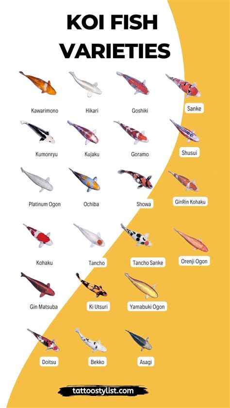 Aggregate More Than 80 Koi Fish Tattoo Meaning Super Hot In Coedo Vn