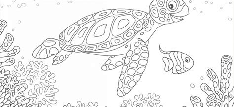 Thick To Give Permission Have Learned Dessin Tortue A Imprimer Stumble