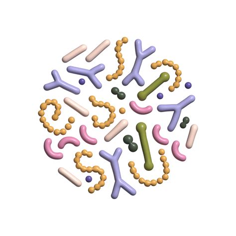 D Hacer Probi Tico Bacterias Conjunto En Circulo Composici N