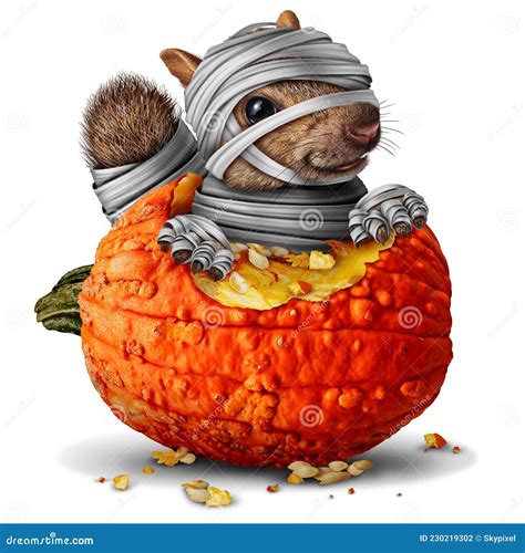 Mummy Squirrel Eating Pumpkin Stock Illustration Illustration Of