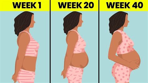 A Guide To Pregnancy Symptoms Week By Week Common Signs And Symptoms