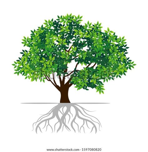 Tree Vector Illustration Banyan Tree Roots Stock Vector Royalty Free