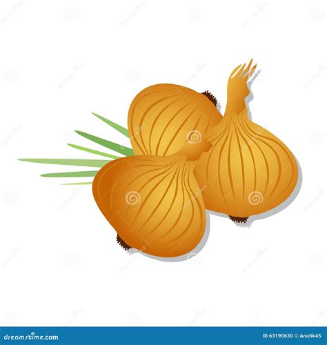 Onion Isolated On White Background Stock Vector Illustration Of Ripe