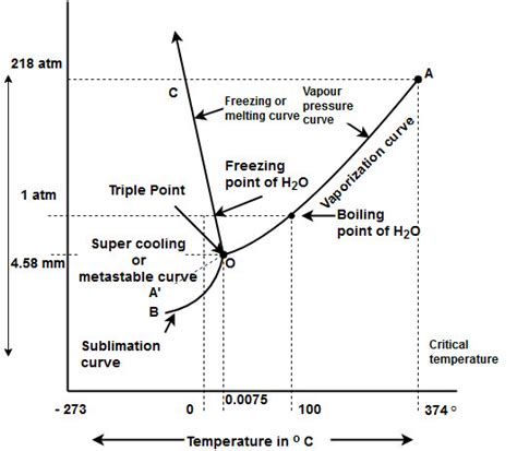 DIAGRAM 363 Phase Diagram Of Water Wiring Diagram MYDIAGRAM ONLINE