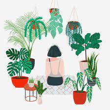 Plant Parenting Descubriendo La Se Ora De Las Plantas En Ti