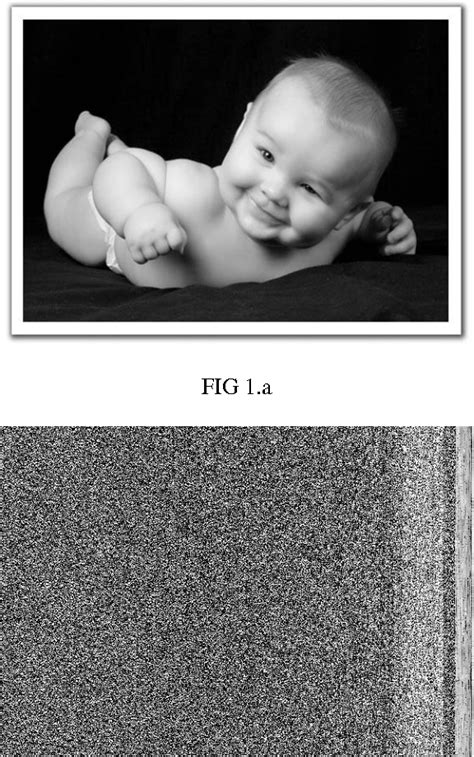figure 1 from digital image encryption using scrambling algorithm and chaotic sequence