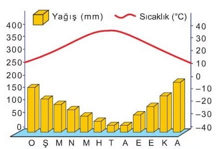 Dünyada Görülen Büyük İklim Tipleri Kuşakları ve Özellikleri 9 sınıf