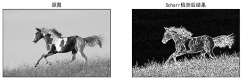 opencv 边缘检测 opencv边缘检测 csdn博客