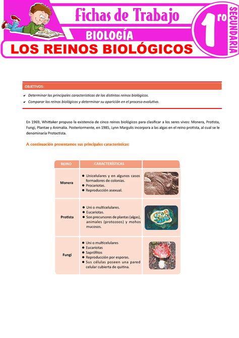 Los Reinos Biologicos Clases De Biolog A Determinar Las Principales
