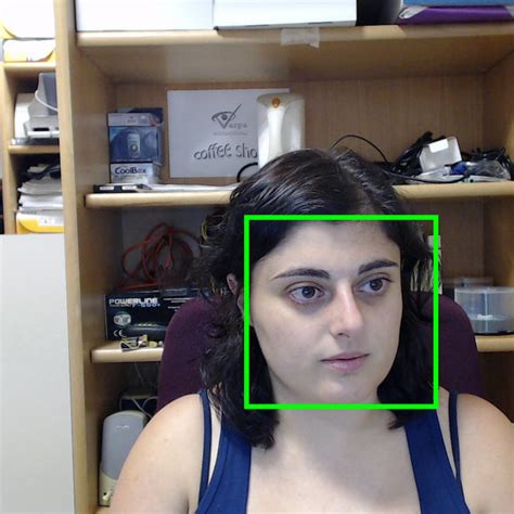 pdf automatic eye blink detection using consumer web cameras