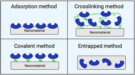 Expanding The Scope Of Nanobiocatalysis And Nanosensing Applications