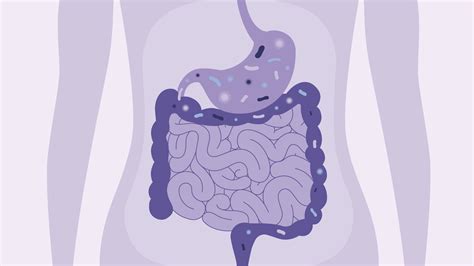 Best Gastroenterologist In Faridabad The Gut Health Guide