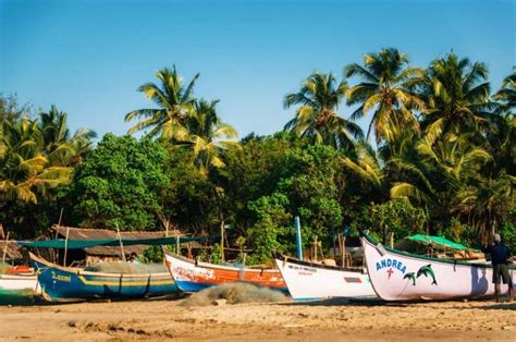 6 Cleanest Beach In Goa Clean Beaches In Goa To Visit Treebo Blogs