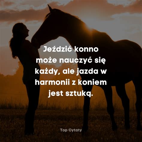 Cytaty I Powiedzenia O Koniach Top Cytaty
