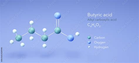 Butyric Acid Molecular Structures Alkyl Carboxylic Acid 3d Model