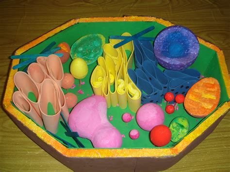 Diario Clase Biología y Geología 4º ESO Maqueta de célula vegetal