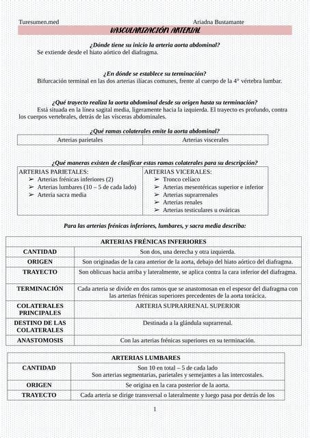 Resúmenes de Aorta abdominal Descarga apuntes de Aorta abdominal