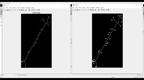 simple algorithm to detect end points of a skeleton of an image digital image processing