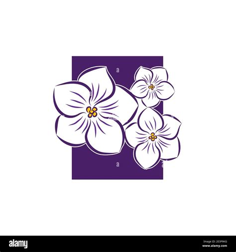 Ilustración botánica de vector plano violeta africano Dibujo a mano de