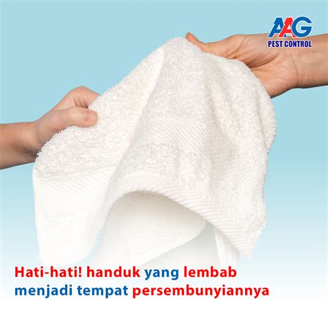 Blog Post Aag Pest Control