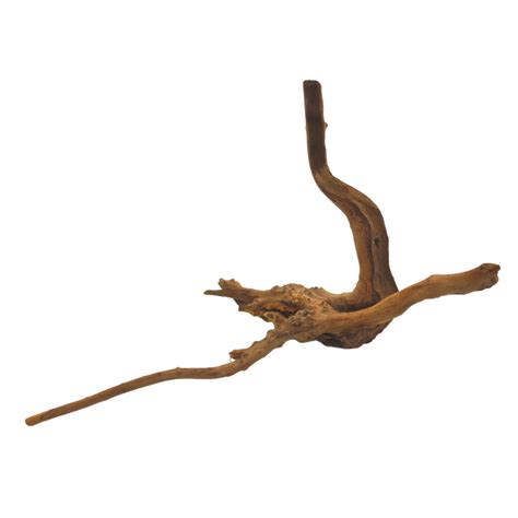 Raiz Tronco Natural Aquário Terrário Decoração ss 15 20cm Escorrega