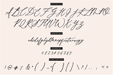 Wild Magnolia Signature Script Font 138437 Script Font Bundles