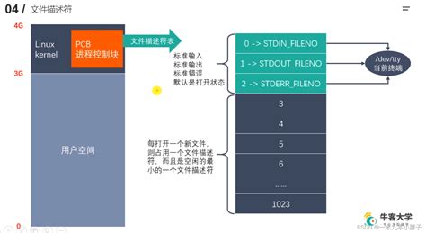 文件描述符（通俗易懂） csdn博客