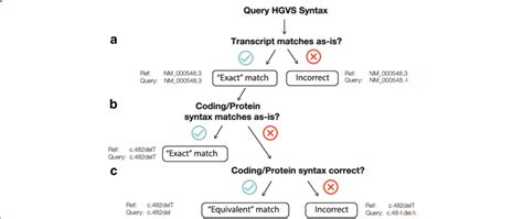methodology of hgvs syntax comparison to compare two hgvs expressions download scientific