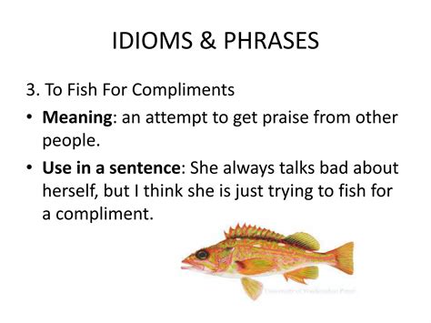 Idioms And Phrases On Fish Ppt