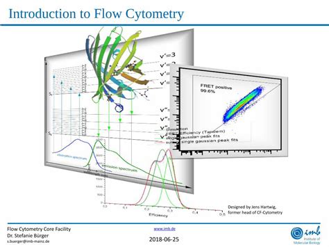 Pdf Introduction To Flow Cytometry Imb De Flow