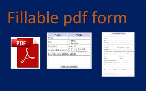 create fillable pdf form and convert fillable pdf form by ss 123 fiverr