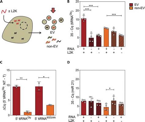 Stable TRNA Halves Can Be Sorted Into Extracellular Vesicles And