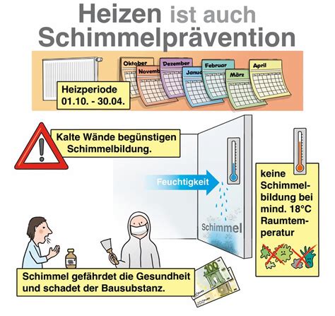 Schimmel Entstehung Arten Vorbeugen Und Beseitigung