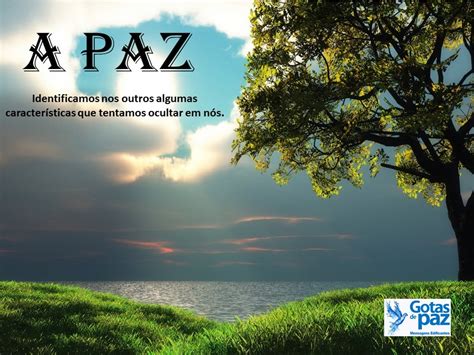 A Paz Gotas De Pazgotas De Paz