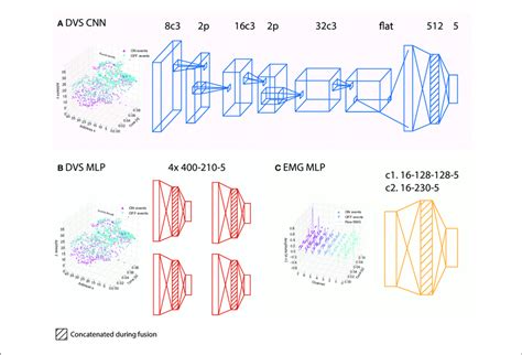 architectures of the neural networks implemented on the neuromorphic download scientific