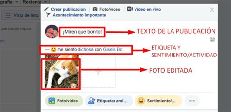 Cómo hacer una publicación en Facebook paso a paso