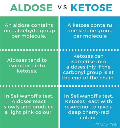 Difference Between Aldose And Ketose Infographic Chemistry Lessons