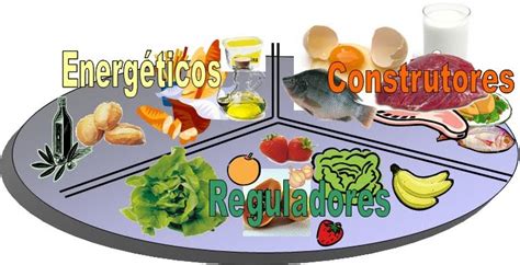 Exemplos De Alimentos Reguladores Construtores E Energéticos Novo Exemplo