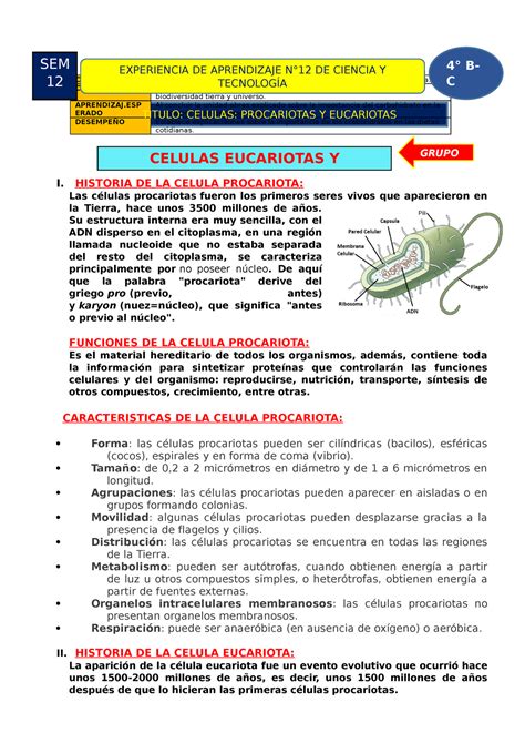 12 CYT Corregido Espero Te Ayude COMPETENCIA Explica El Mundo