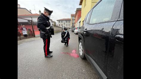 Tg Prealpina 19 02 2022 Ore 13 Il Giallo Del Ragazzo Accoltellato